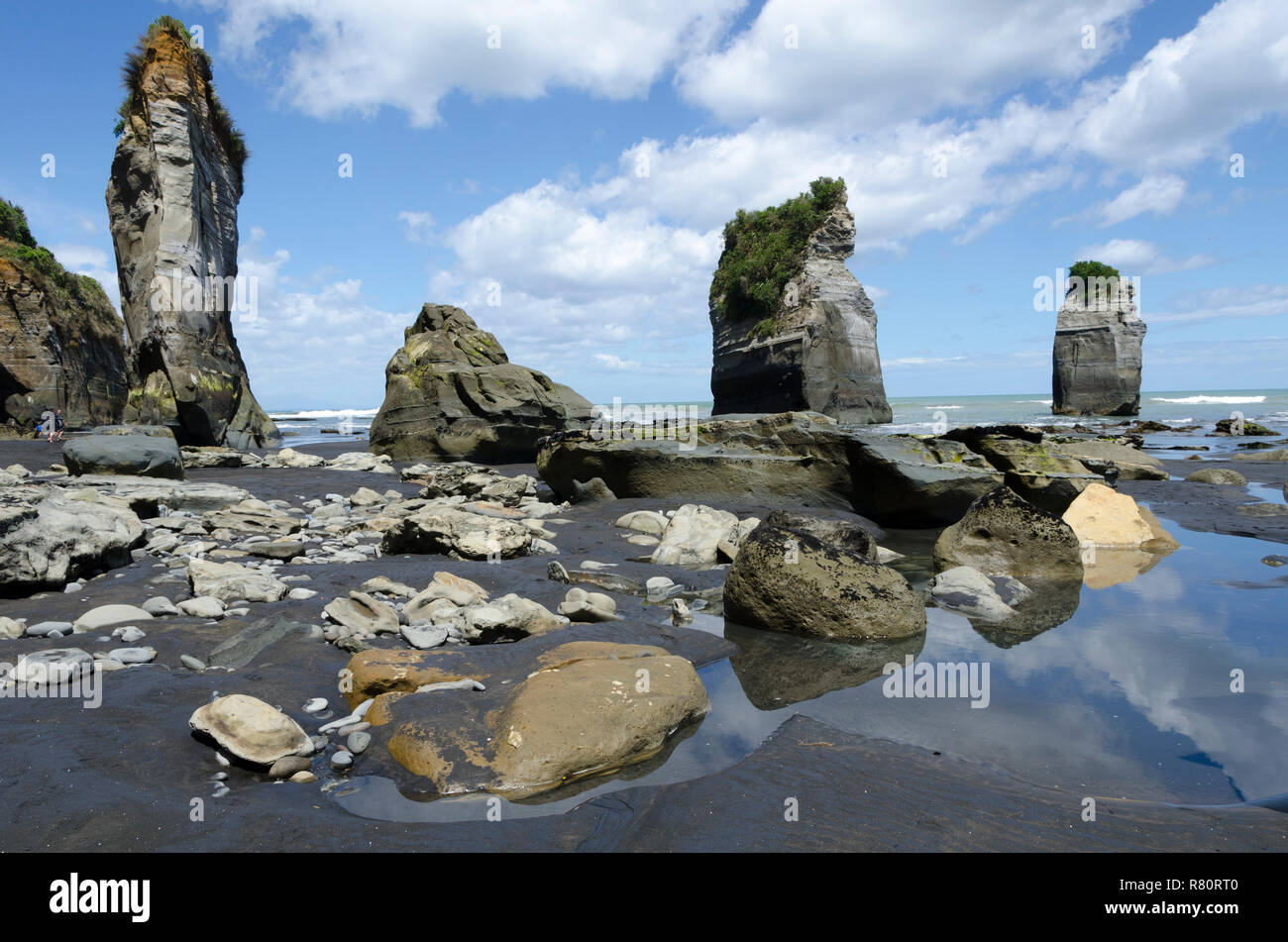 Rock pillars, Three Sisters, Tongaporutu, Taranaki, North Island, New ...