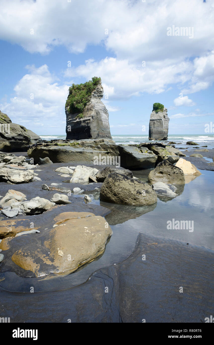 Rock pillars, Three Sisters, Tongaporutu, Taranaki, North Island, New ...