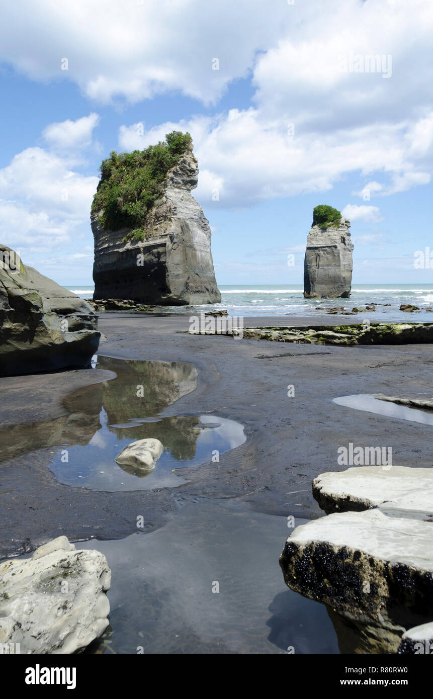 Rock pillars, Three Sisters, Tongaporutu, Taranaki, North Island, New ...