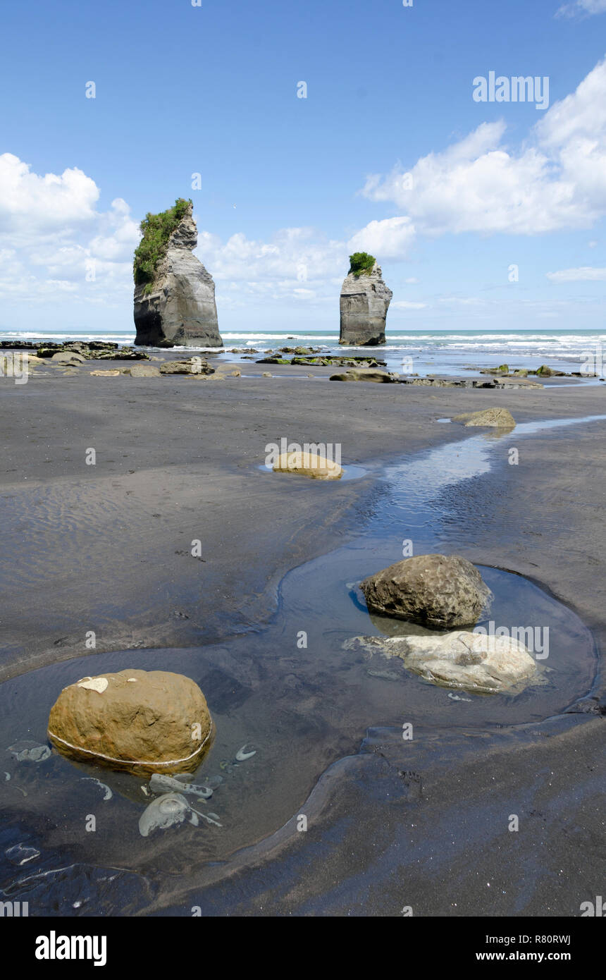 Rock pillars, Three Sisters, Tongaporutu, Taranaki, North Island, New ...