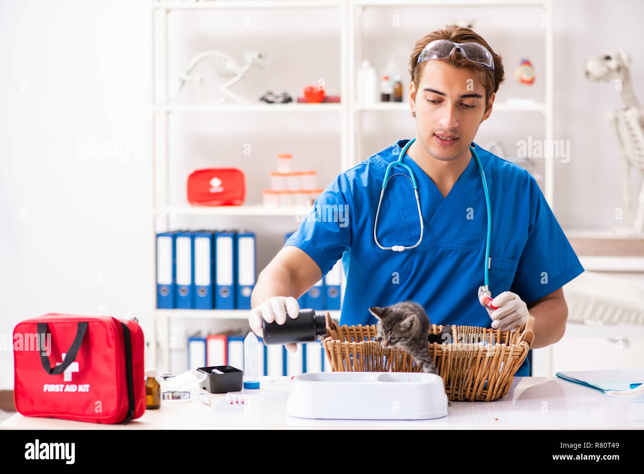 Vet doctor examining kittens in animal hospital Stock Photo - Alamy