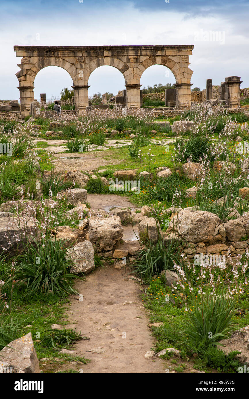 Walili hi-res stock photography and images - Alamy