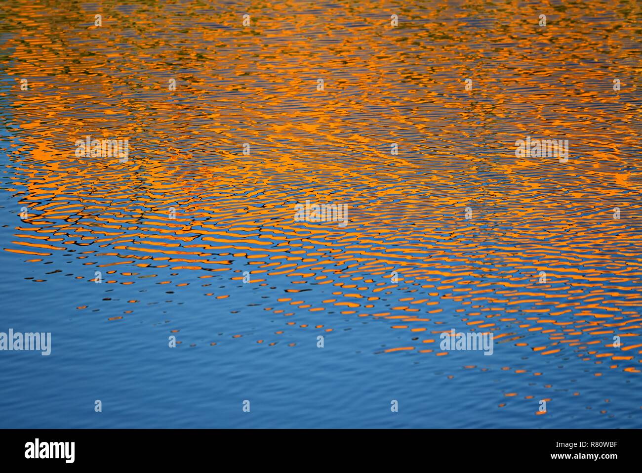 Image viewer hi-res stock photography and images - Alamy
