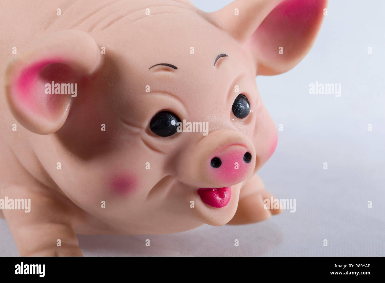 Rubber toy pig closeup. Pig muzzle Stock Photo - Alamy