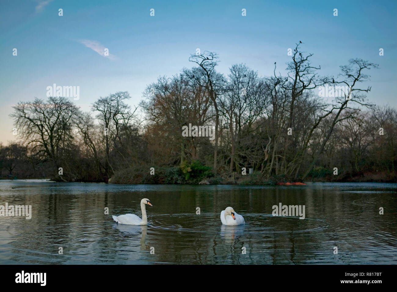 Tooting Bec Common, London Stock Photo - Alamy