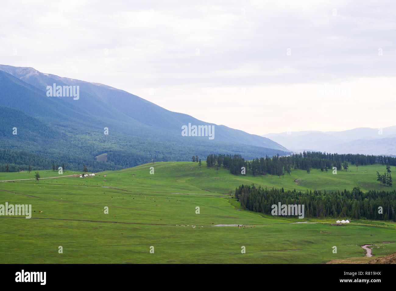 Nalati grassland in xinjiang Stock Photo - Alamy