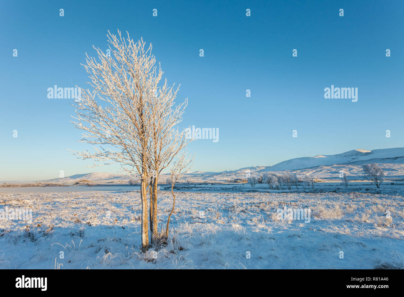 Rannoch Moor in snowy winter conditions, Scotland, UK Stock Photo - Alamy