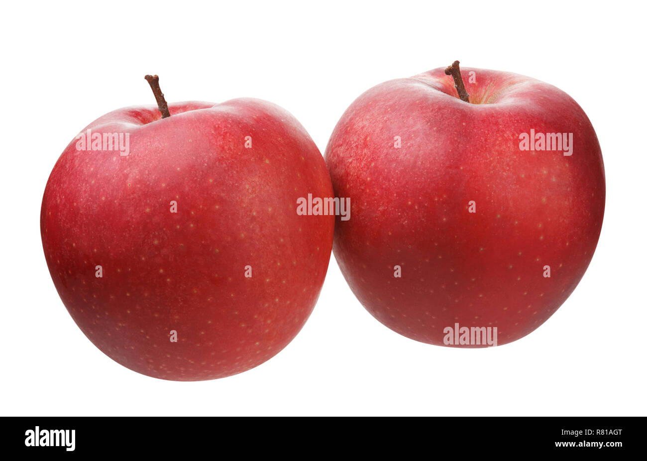 red apples isolated on white background, without shadows Stock Photo ...