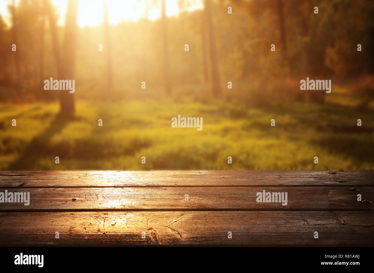 image of front rustic wood boards and background forest Stock Photo - Alamy