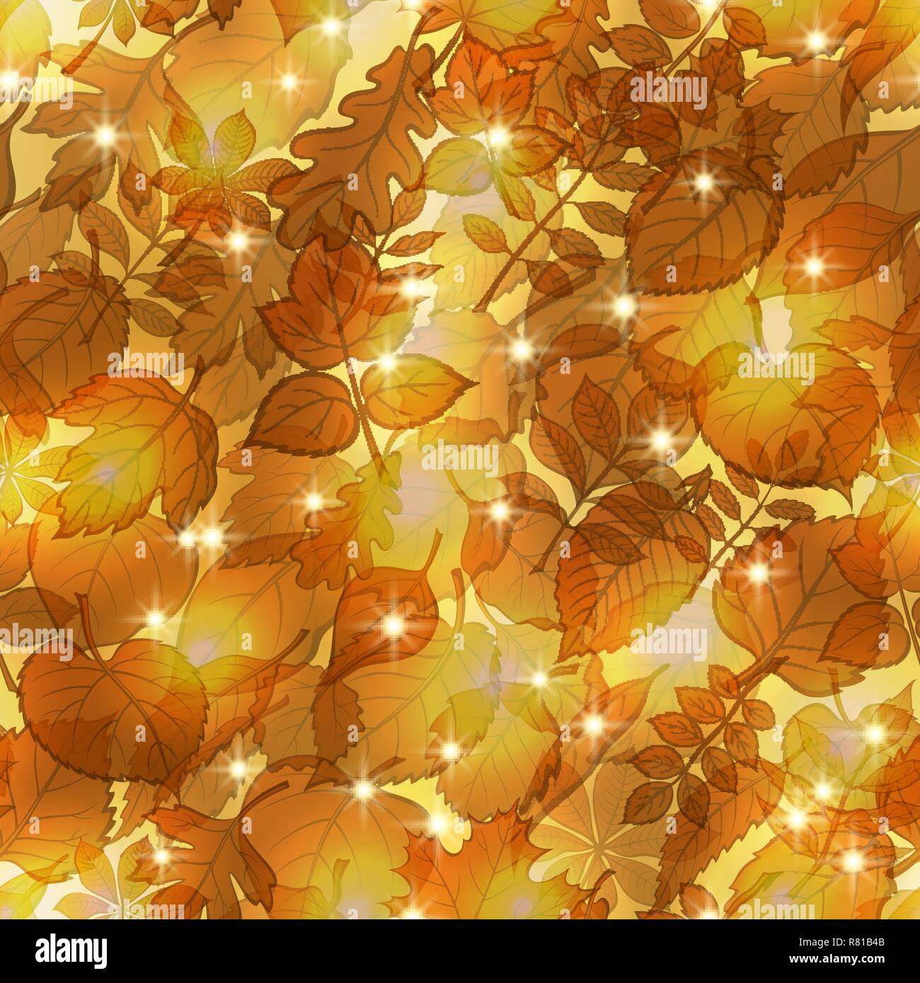 Forest maple birch trees Stock Vector Images - Alamy