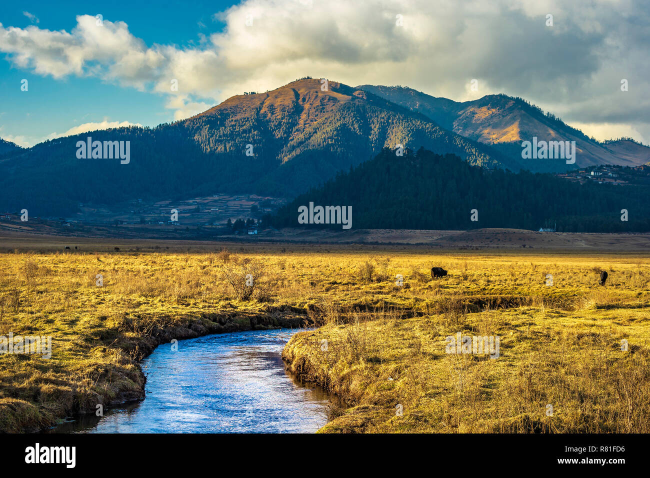 Landscape of Phobjikha valley, Bhutan Stock Photo - Alamy
