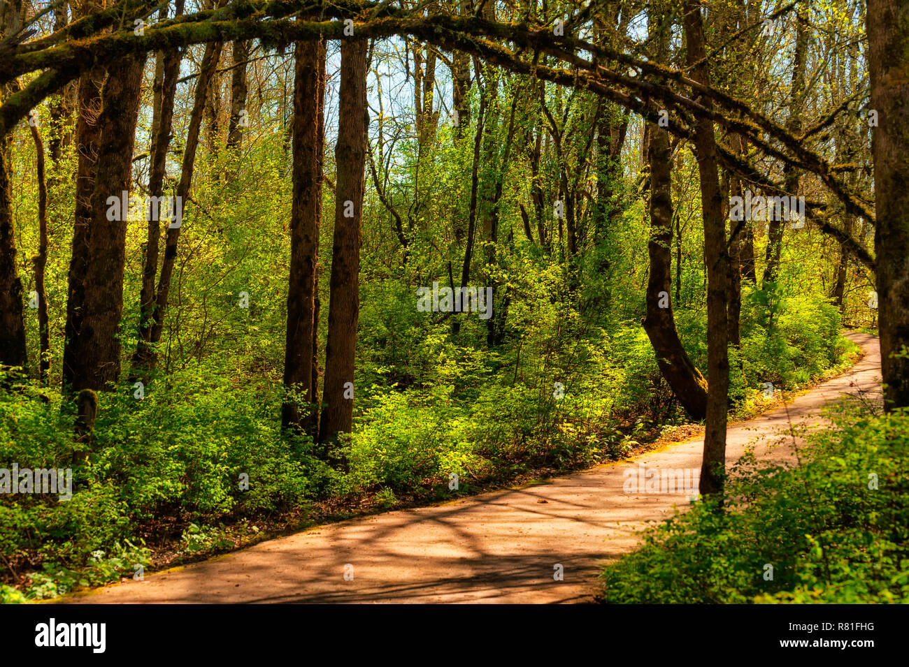 Walking paved footpath hi-res stock photography and images - Alamy