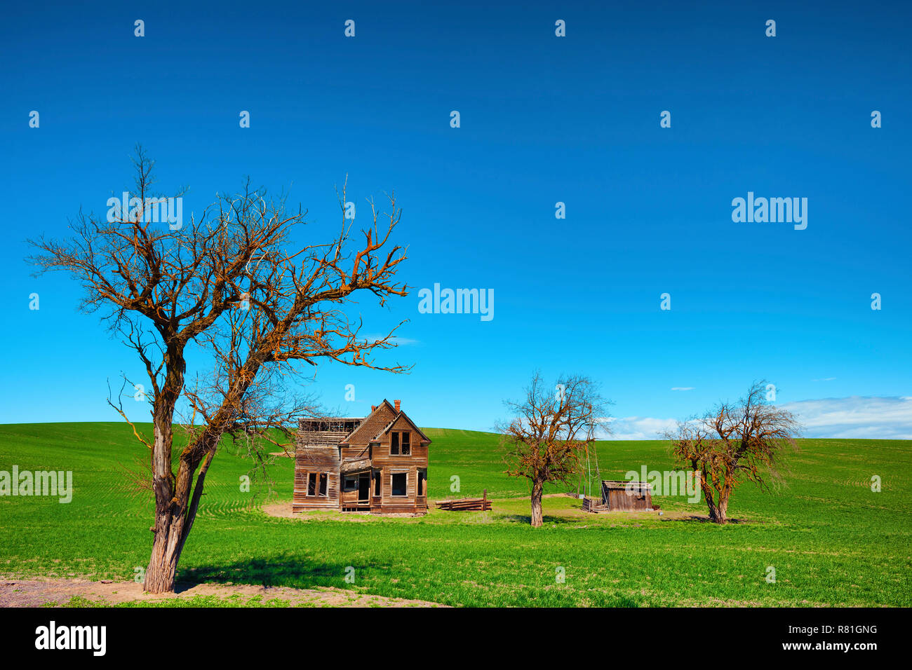 Dufur hi-res stock photography and images - Alamy