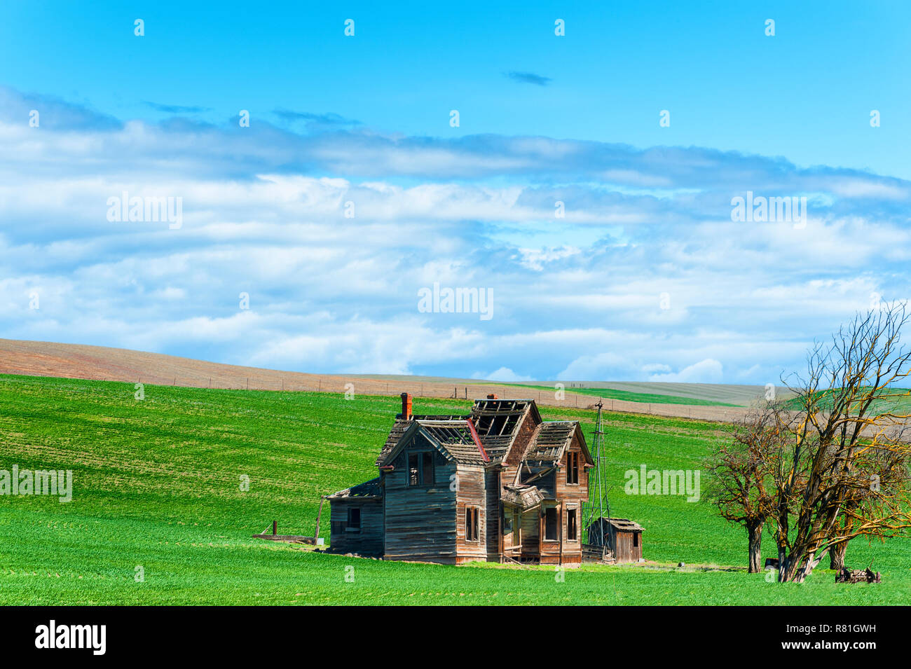 Old homestead home left to decay in central Oregon Stock Photo - Alamy