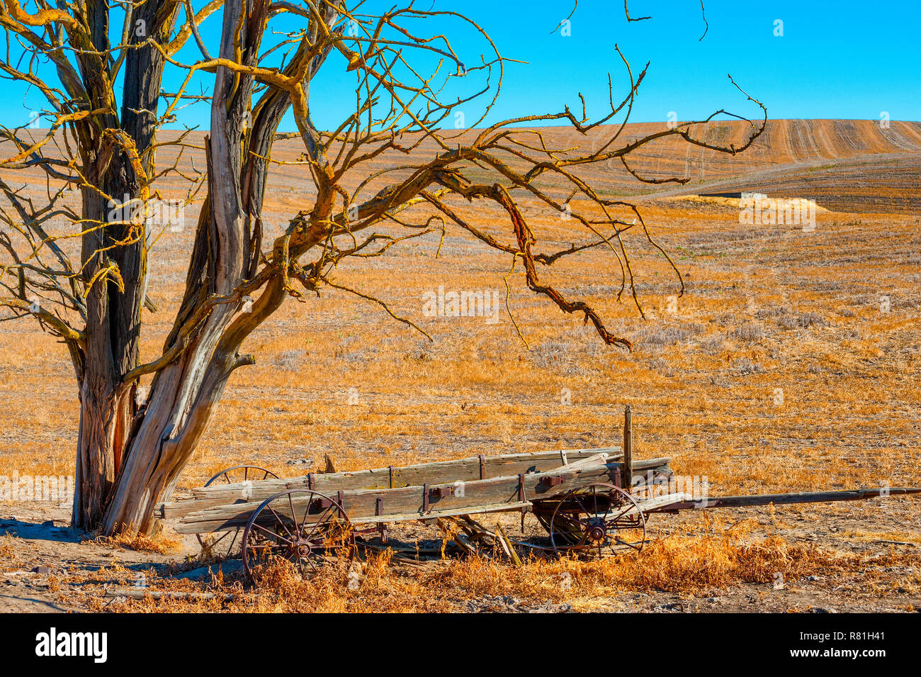 Dufur, Oregon, USA - July 19, 2017:Decaying, rotting wooden wagon under ...