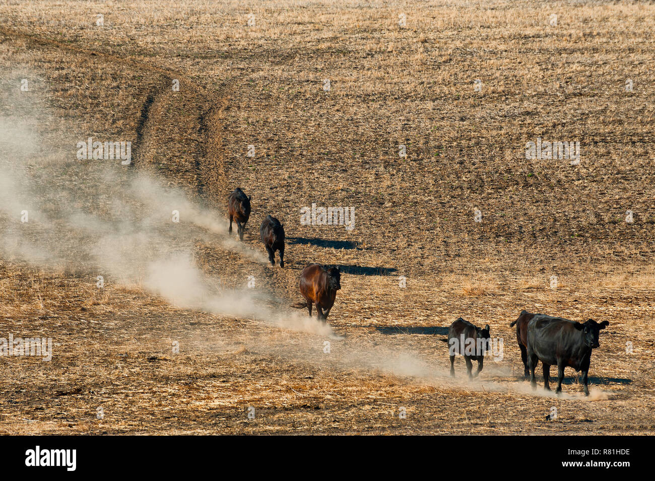 Dust trail hi-res stock photography and images - Alamy