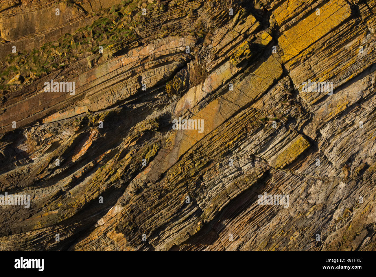 Patterns and folds in sandstone rocks, Orkney Stock Photo - Alamy