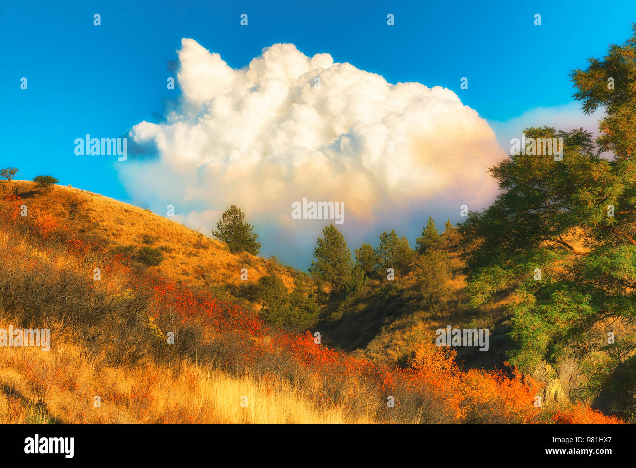 Smoke Cloud Stock Photos & Smoke Cloud Stock Images - Alamy