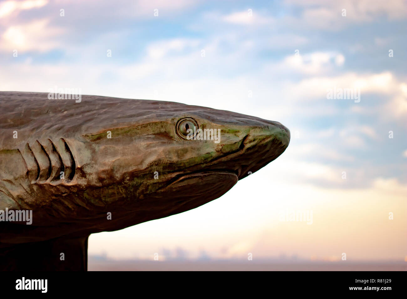 Staring Shark Statue Stock Photo - Alamy
