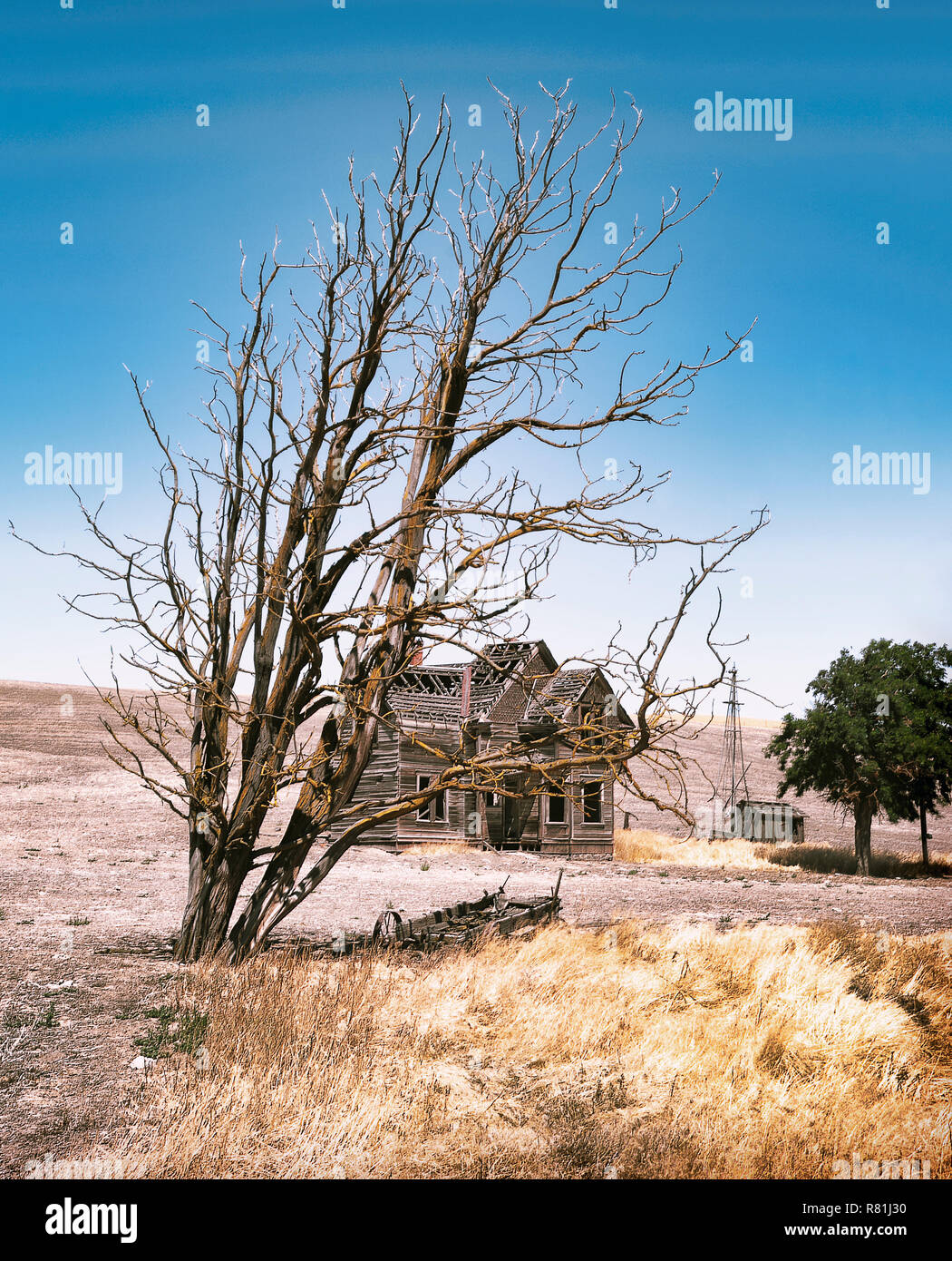 Old homestead oregon usa hi-res stock photography and images - Alamy