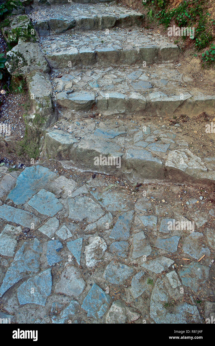 A vertical image of stone steps leading up hill on a nature trail in ...