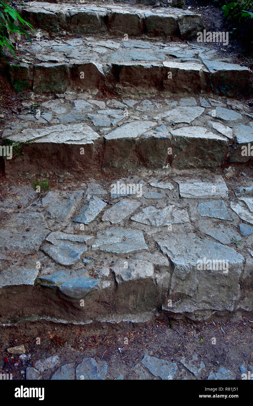 A vertical image of stone steps leading up hill on a nature trail in ...