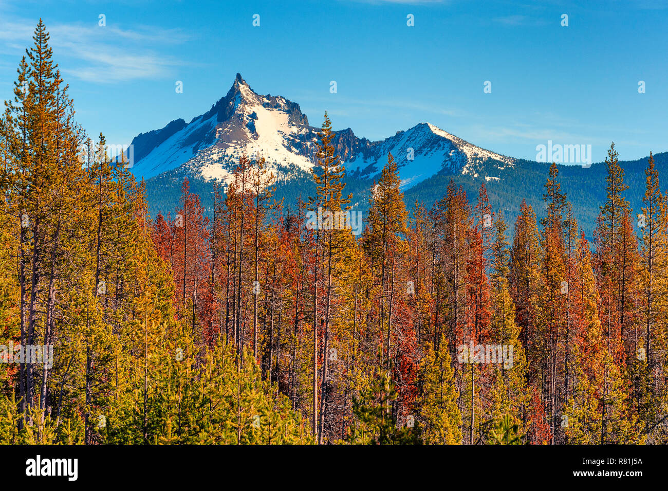 Thielson peak hi-res stock photography and images - Alamy
