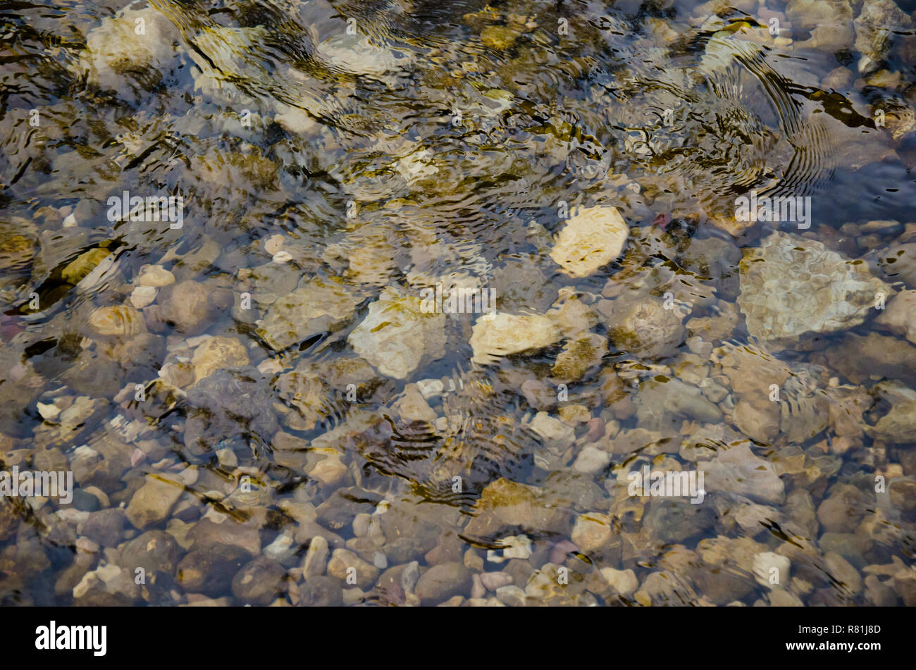 Rocks under clean river water, close up, water background Stock Photo ...