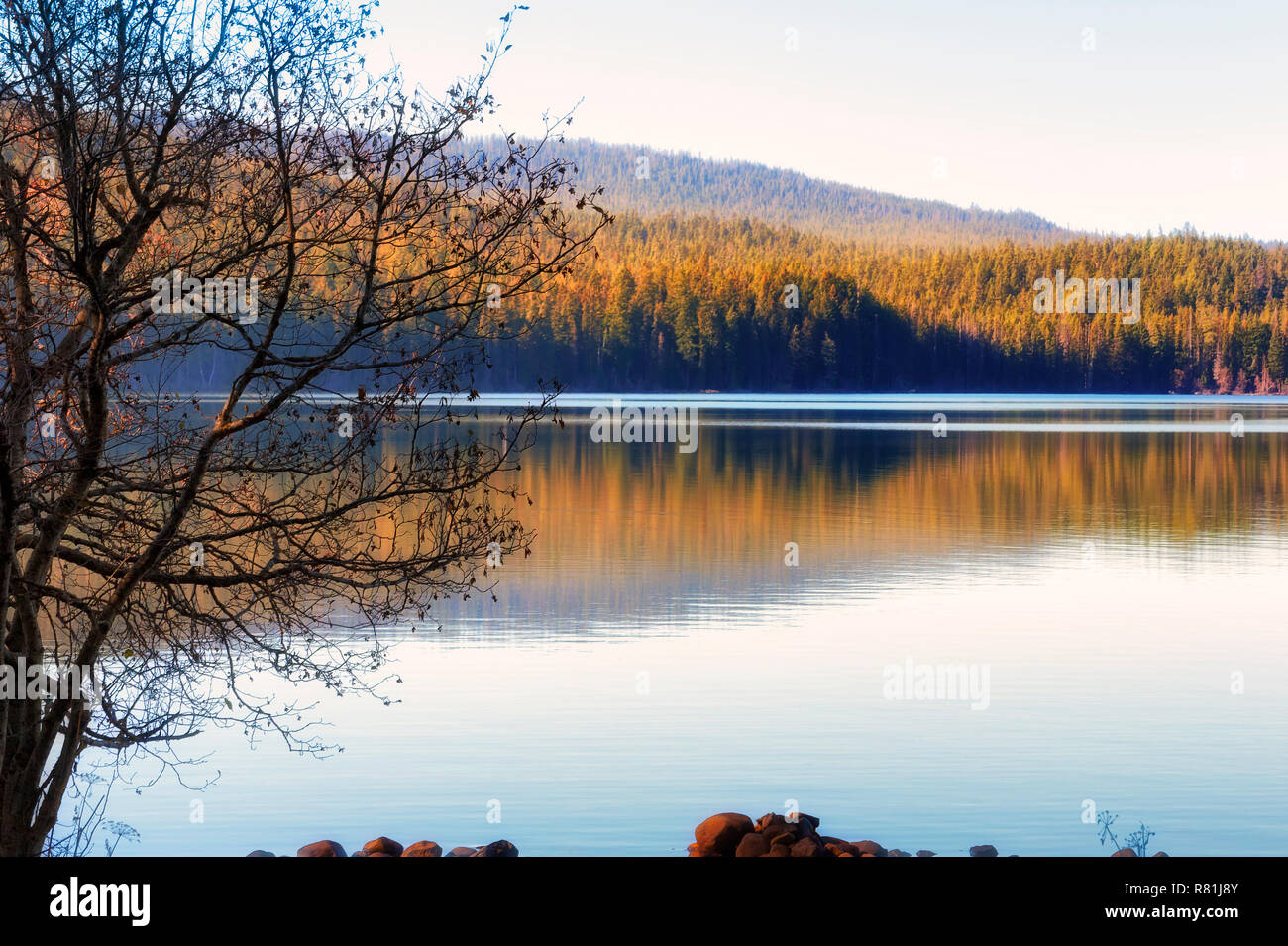 Layers in nature hi-res stock photography and images - Alamy