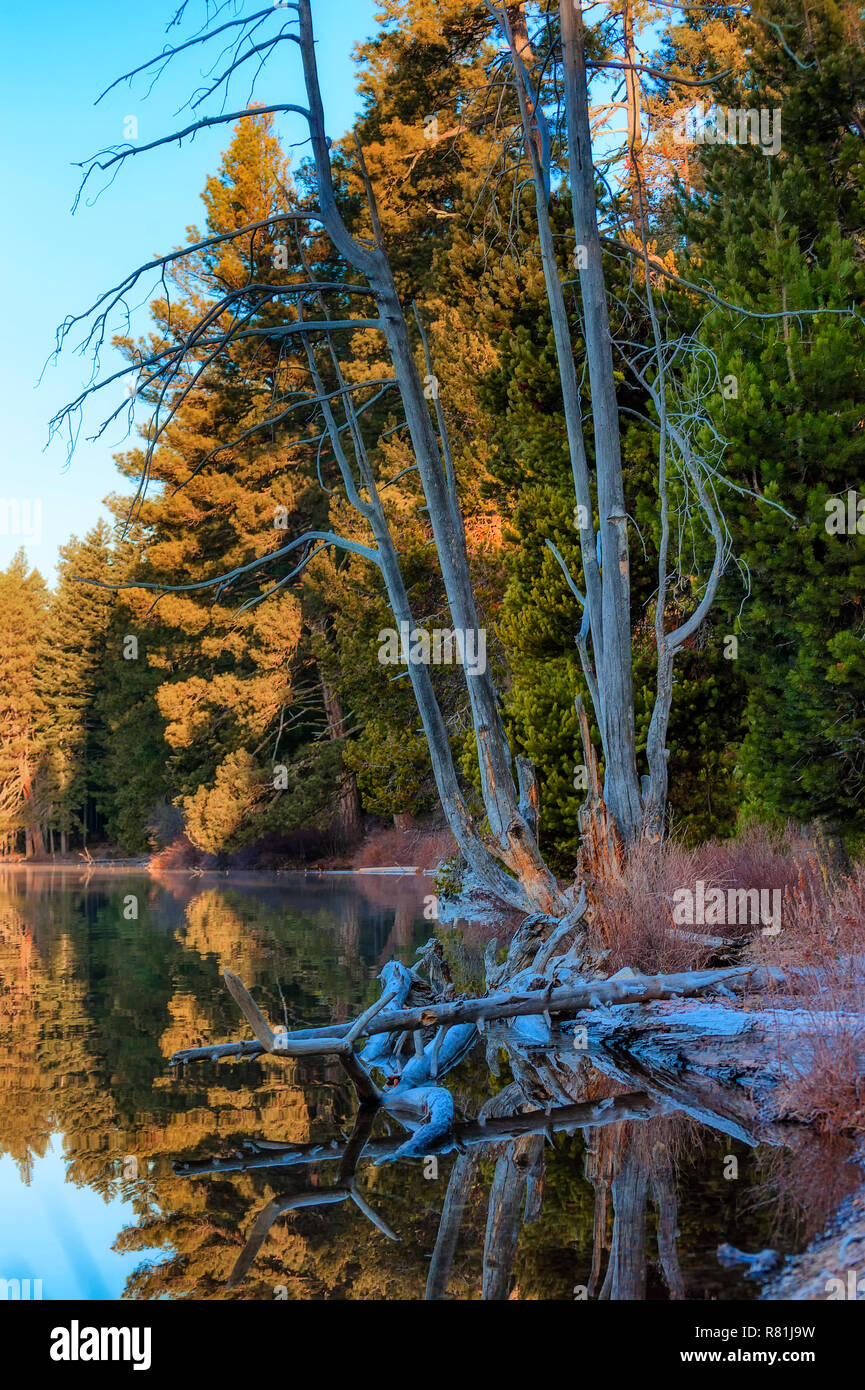 Reflective lakes hi-res stock photography and images - Alamy