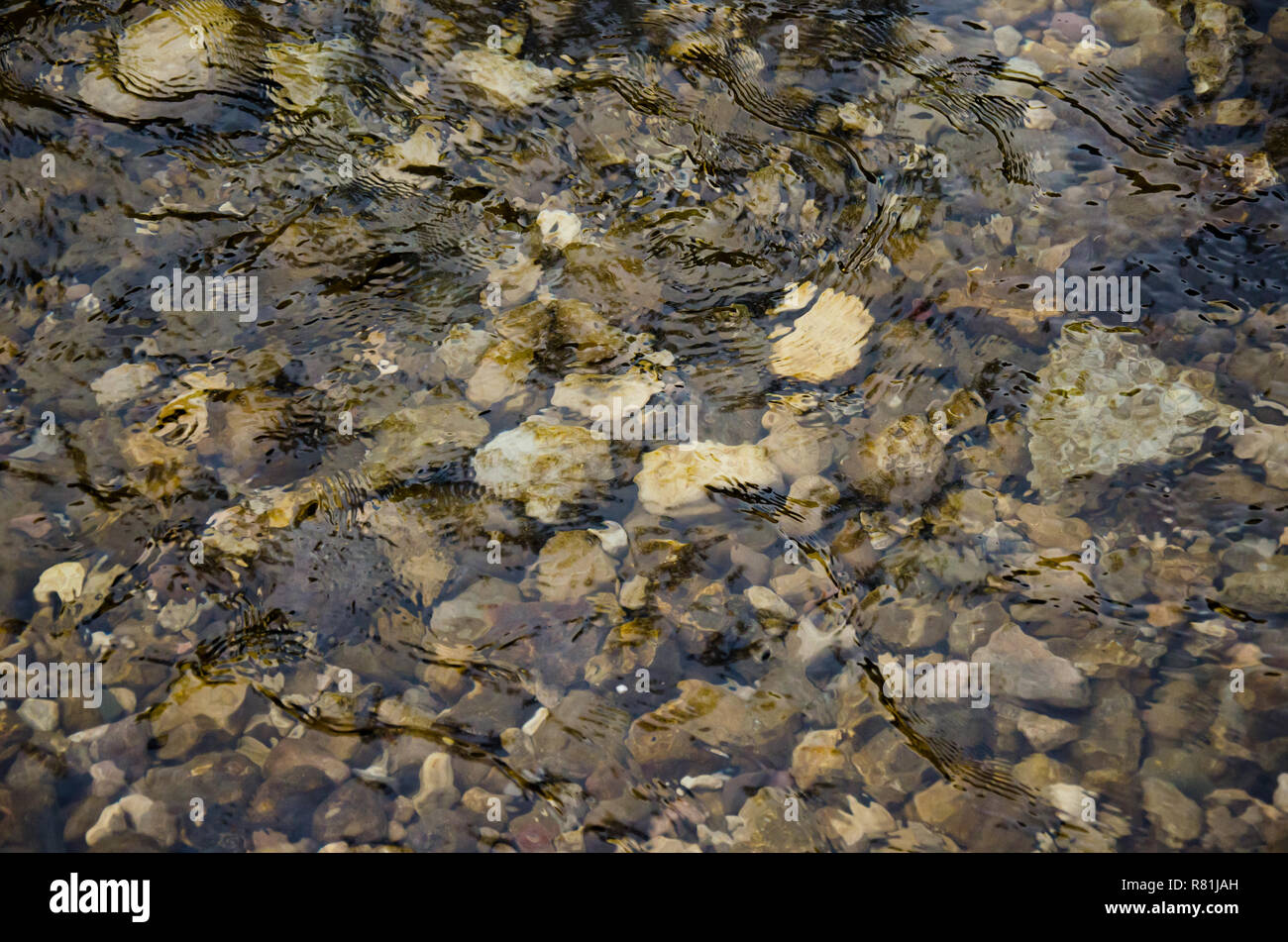 Rocks under clean river water, close up, water background Stock Photo ...