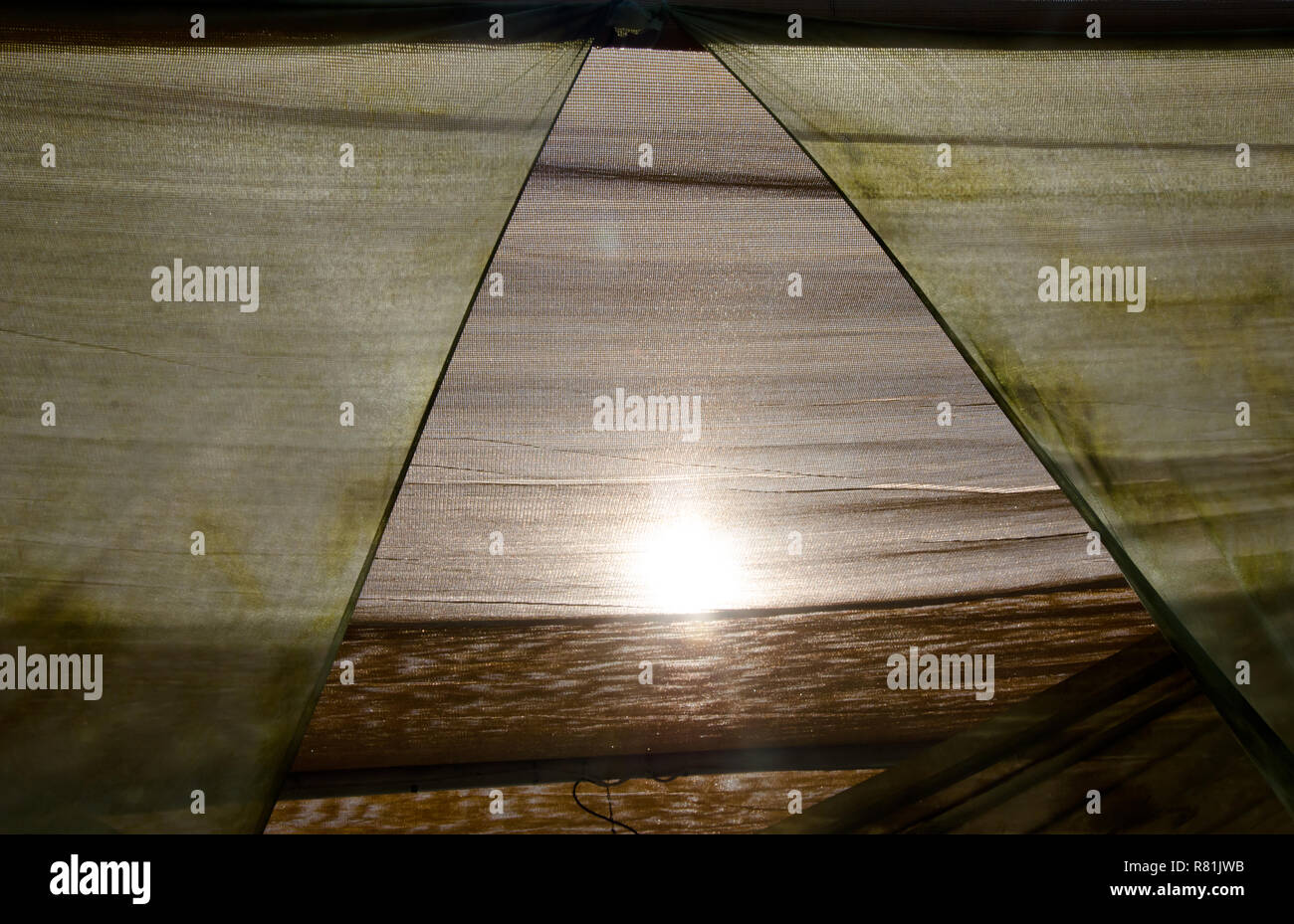 texture of brown tent, sun behind fabric texture, backlit, sunny day at ...