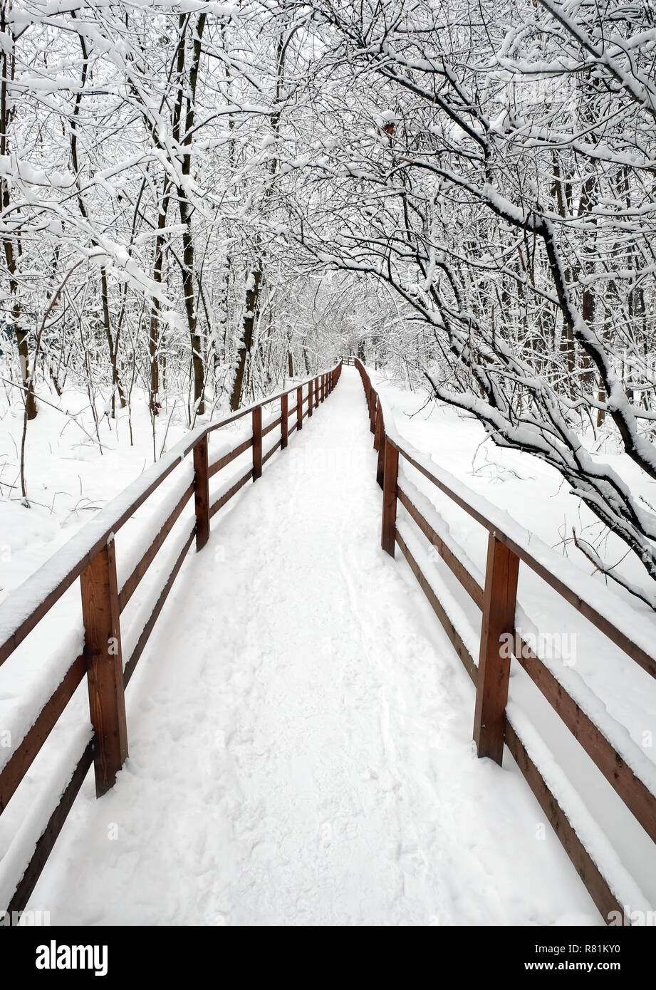 Beautiful scenery with a snow-covered path with wooden fences in winter ...