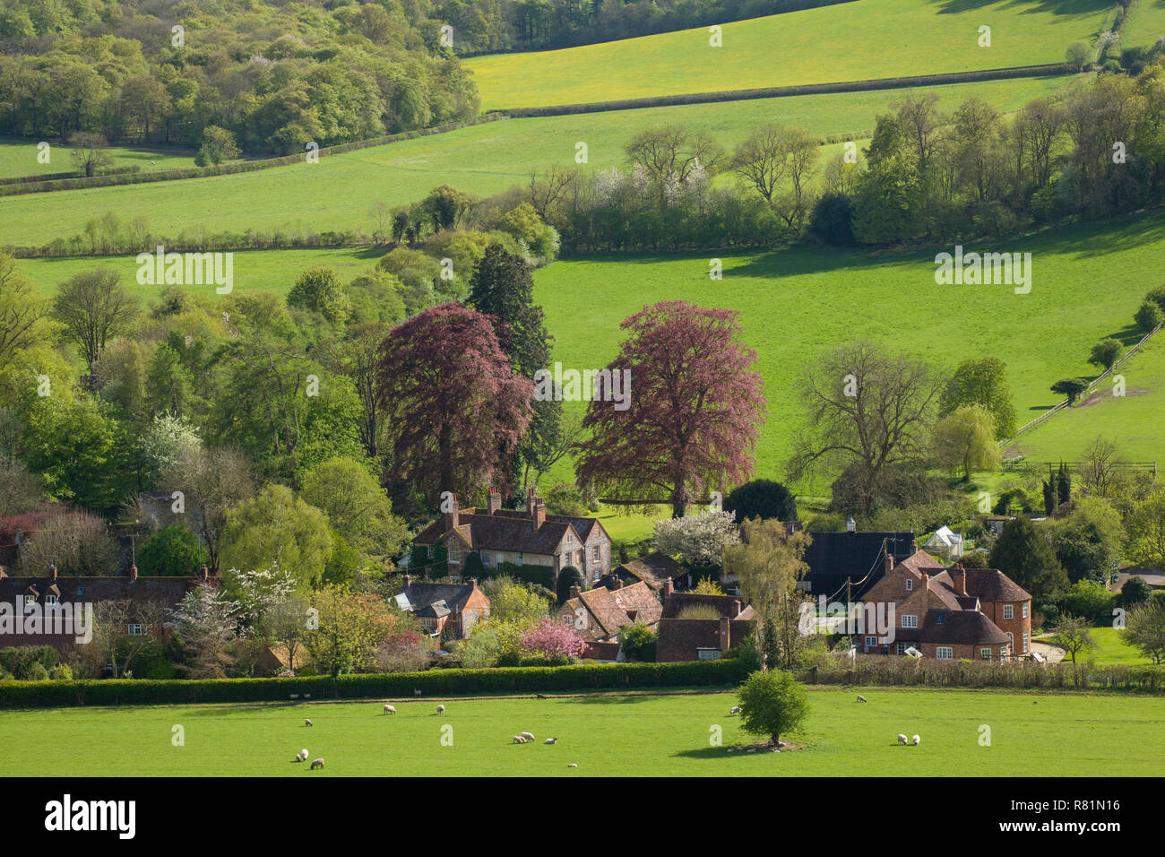 Turville Buckinghamshire High Resolution Stock Photography and Images ...