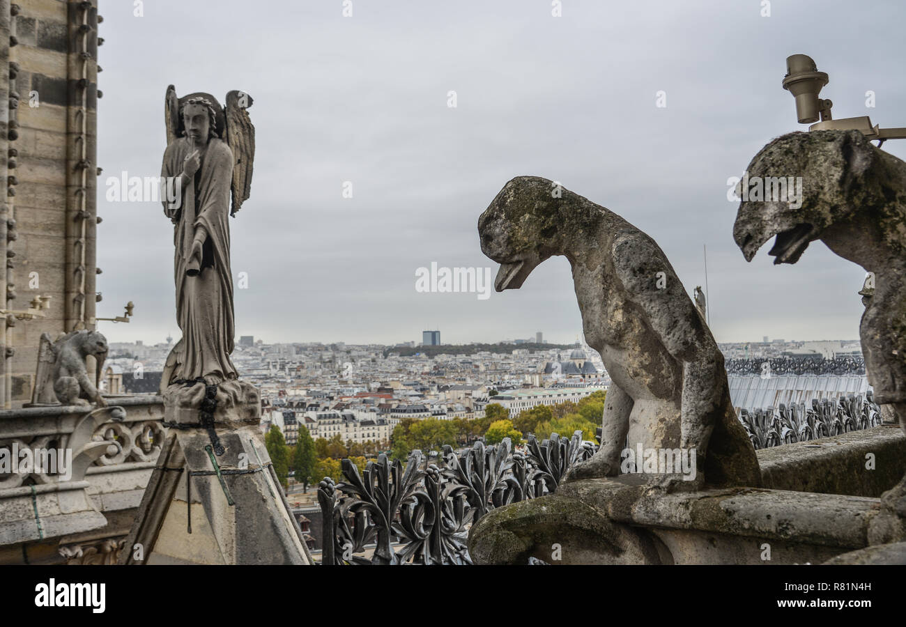 Chimera (Gargoyle) of the Cathedral of Notre Dame de Paris (France ...