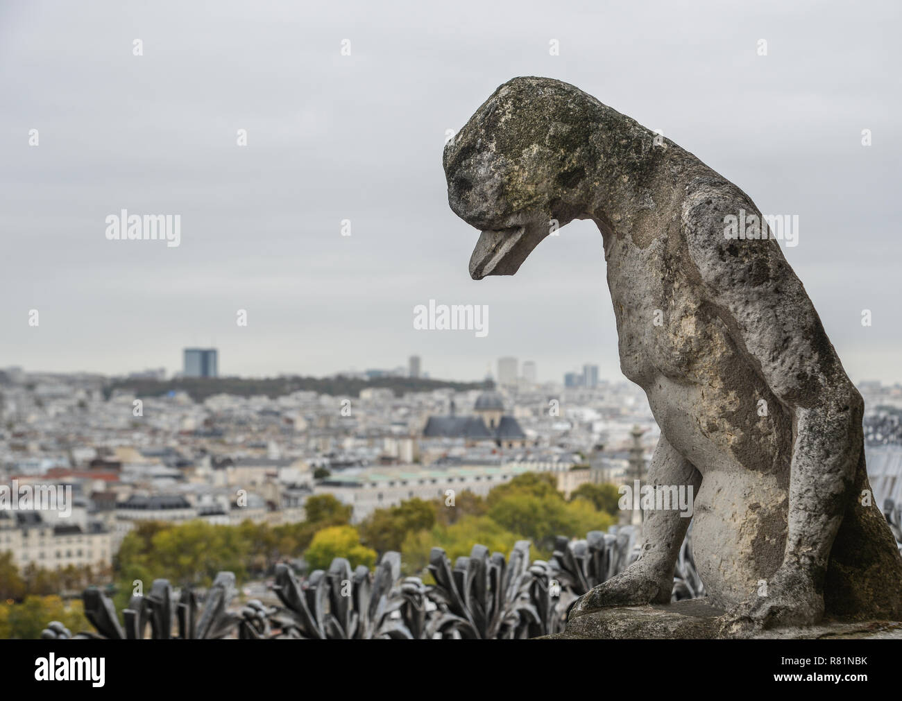 Chimera (Gargoyle) of the Cathedral of Notre Dame de Paris (France ...