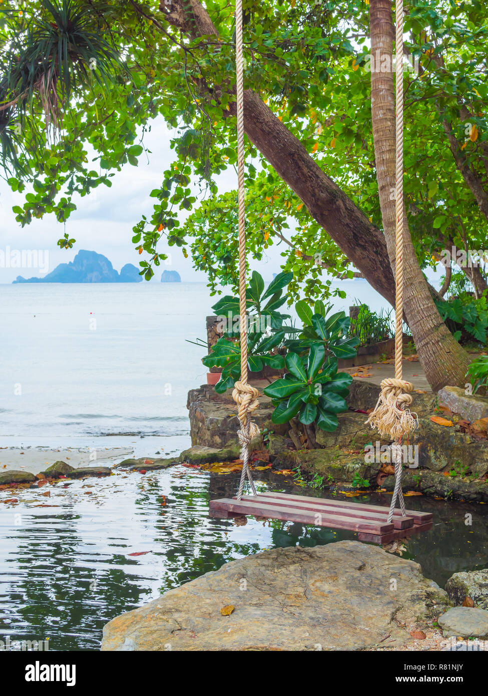 Wooden swing above the rock and water stream on tree and seascape ...