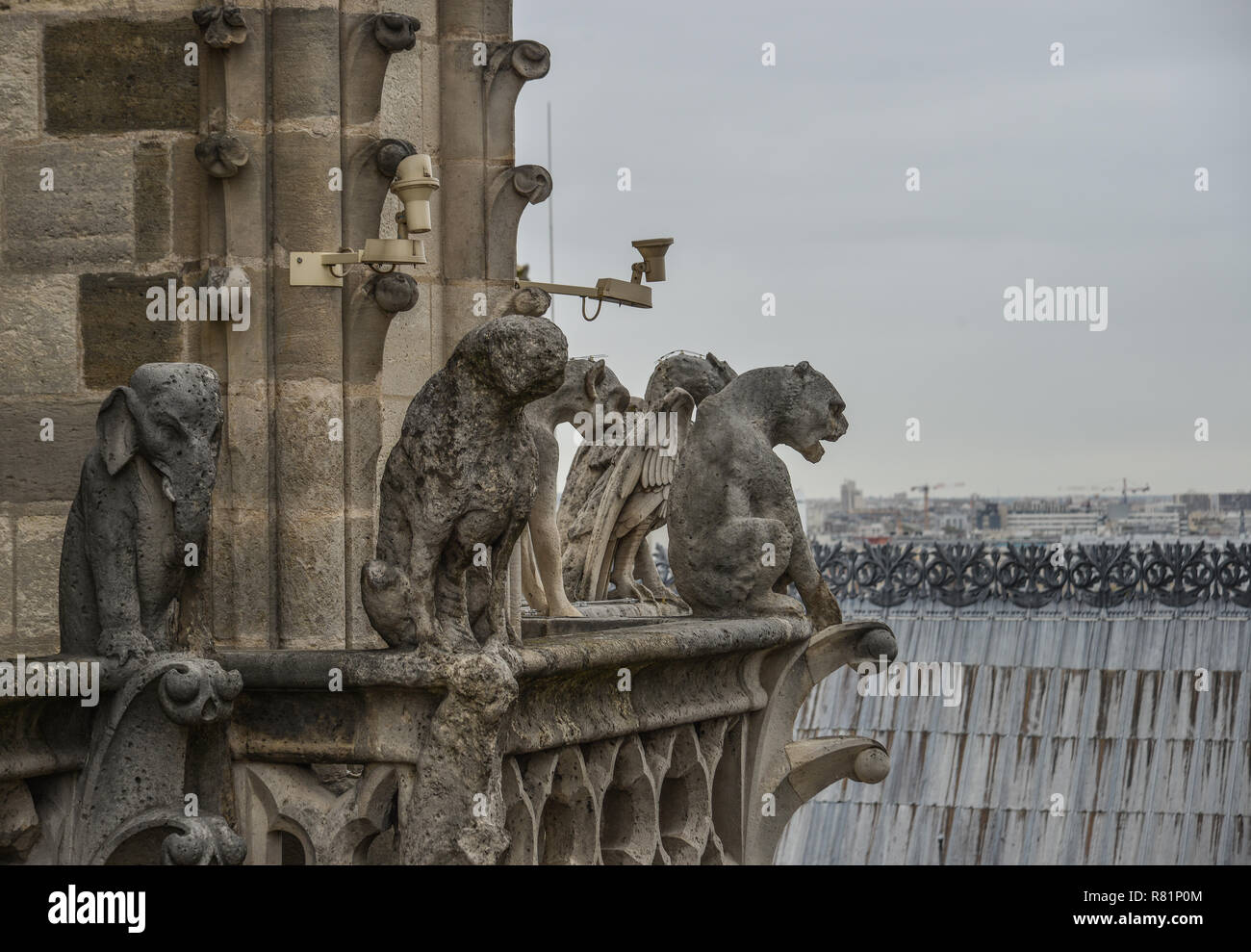 Chimera (Gargoyle) of the Cathedral of Notre Dame de Paris (France ...