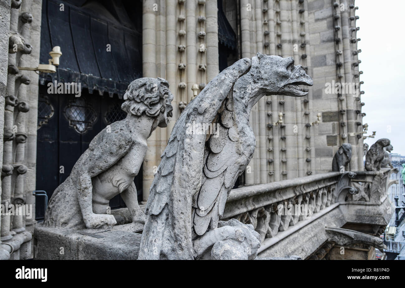 Chimera (Gargoyle) of the Cathedral of Notre Dame de Paris (France ...