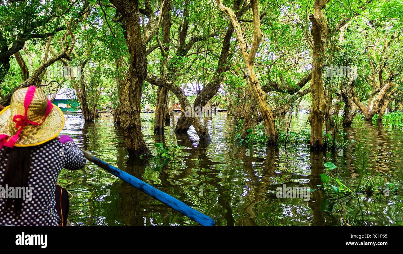 Siem Reap Tonle Sap Kompong Phluk boat ride under mangrove tree canopy ...