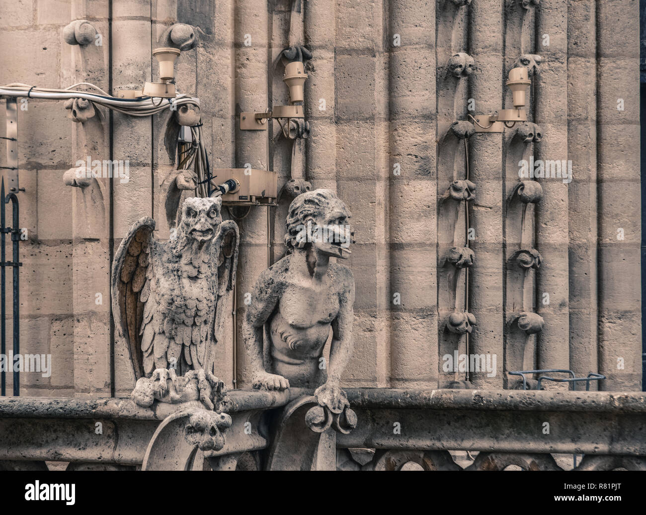 Chimera (Gargoyle) of the Cathedral of Notre Dame de Paris (France ...