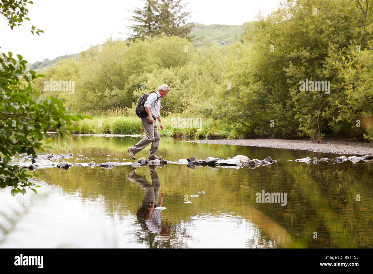 Senior Man Crossing River Whilst Hiking In UK Lake District Stock Photo ...