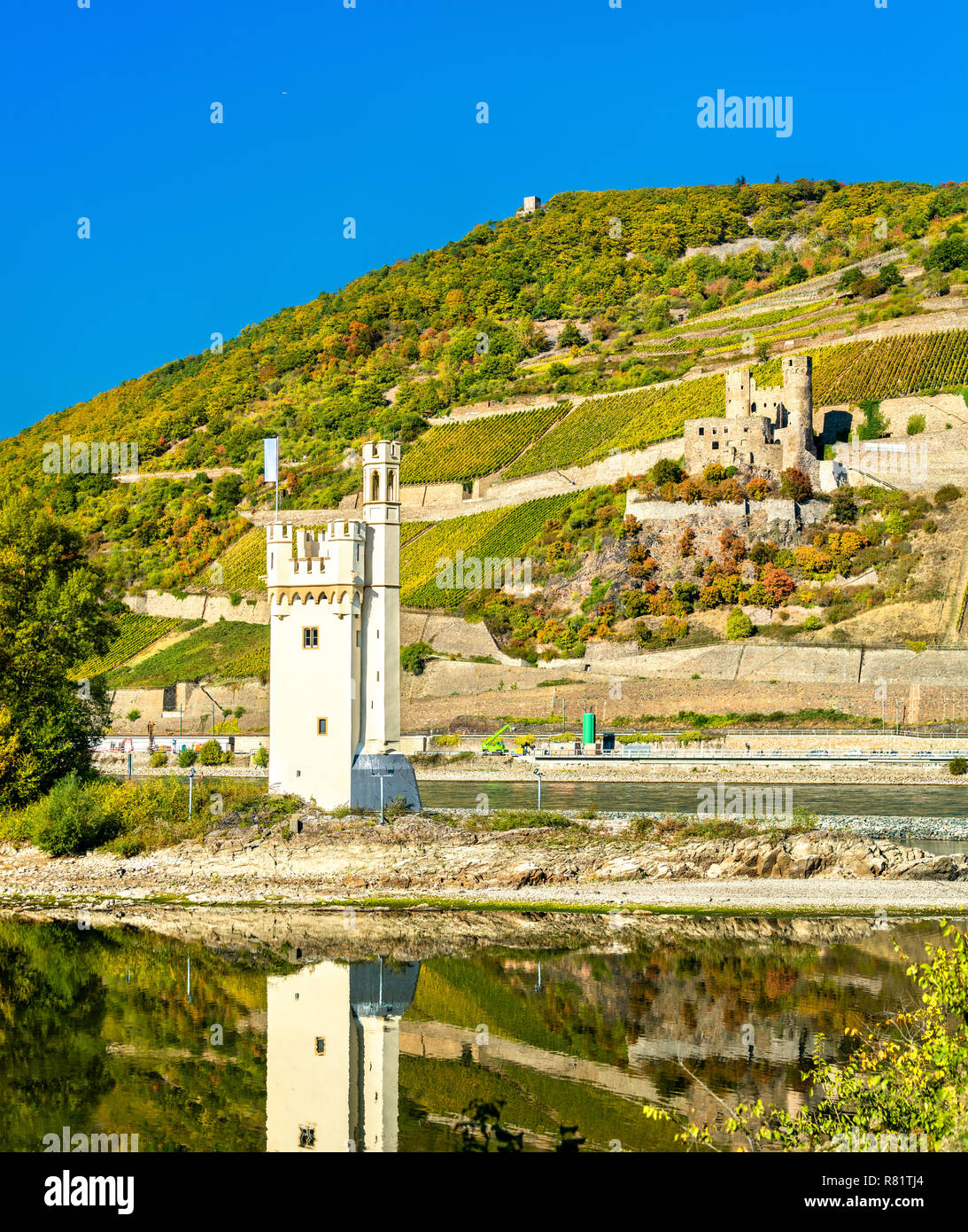 The Mouse Tower with Ehrenfels Castle on the background. The Rhine ...