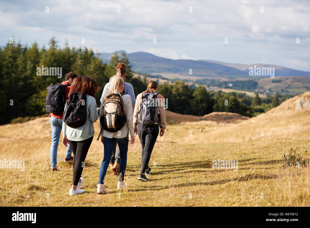 Five young adult friends walk on a rural path during a mountain hike ...