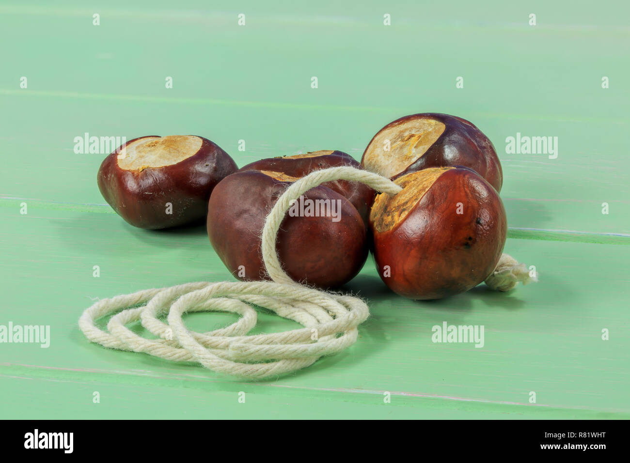 Conker on string hi-res stock photography and images - Alamy