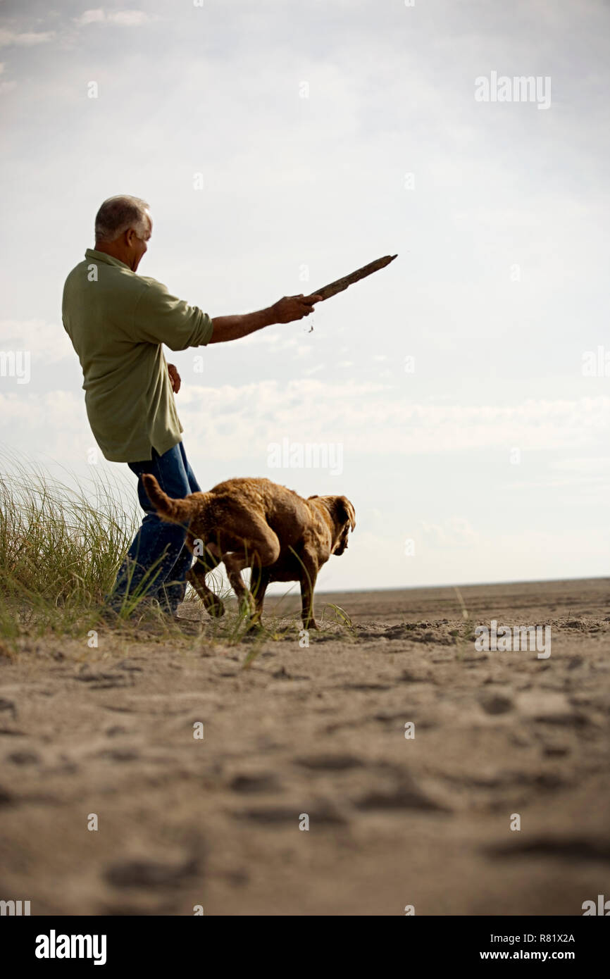 Mature adult man throwing a stick for his dog on a beach Stock Photo ...
