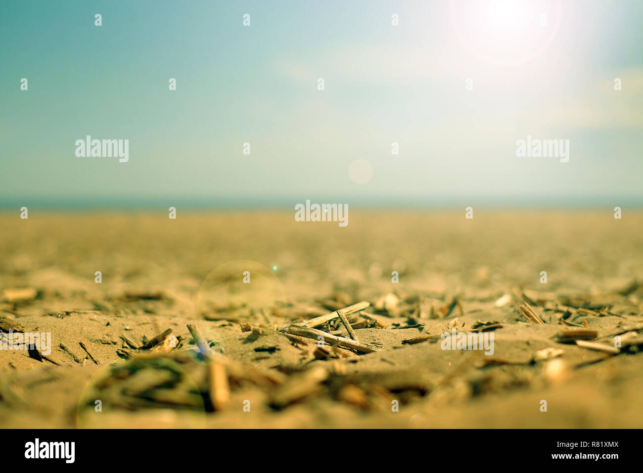 summer sand beach and sea background, the Concept of summer vacation ...