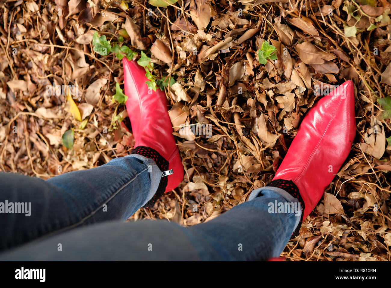 Lady legs hi-res stock photography and images - Alamy