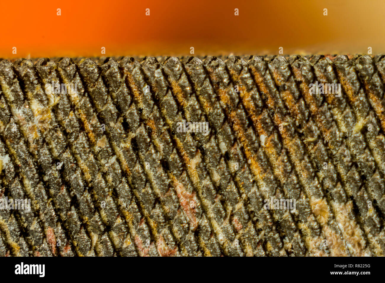 Metal tool rasp , close-up on an orange background. Mesh metal surface ...