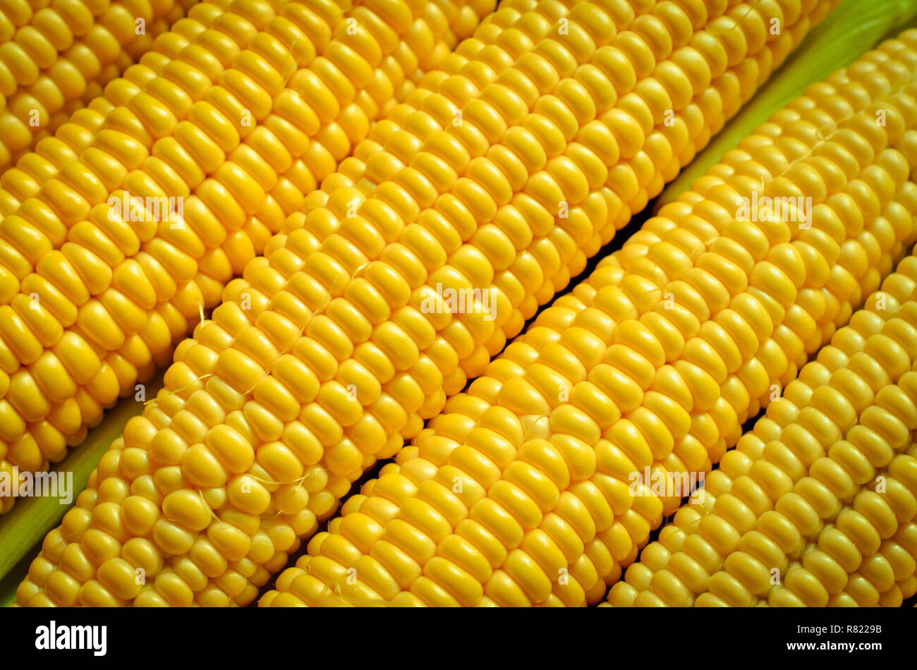 Yellow corns hi-res stock photography and images - Alamy